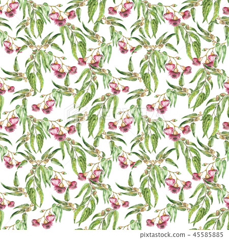 flowers of eucalyptus seamless pattern - Stock Illustration [45585885 ...