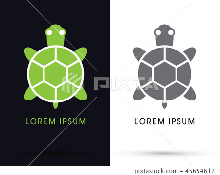 Turtle top view graphic vector - Stock Illustration [45654612] - PIXTA