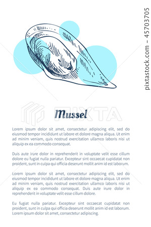 Mussel Seafood Vector Hand Drawn Illustration - Stock Illustration ...