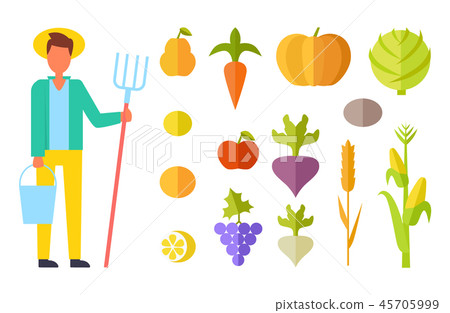 Harvester Person with Bucket Vector Illustration - Stock Illustration ...
