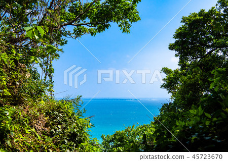 Okinawa Shiba Gyoen Kudakajima Harukasho - Stock Photo [45723670] - PIXTA