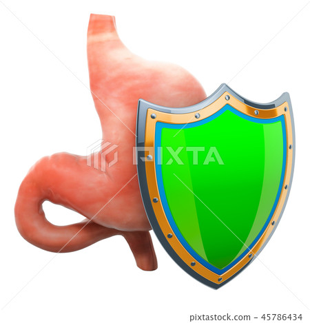 Human stomach with shield, stomach protect - Stock Illustration ...