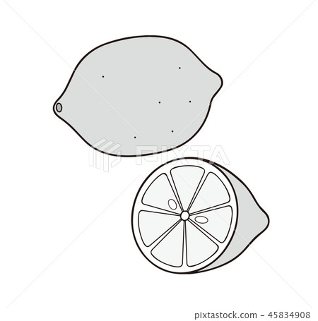 Lemon monochrome grayscale - Stock Illustration [45834908] - PIXTA