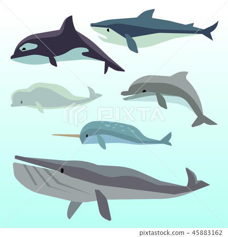 Whales and dolphins, marine underwater mammal,... - Stock Illustration ...