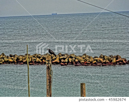 Duck during a break - Stock Illustration [45982674] - PIXTA