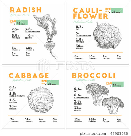 Set of vegetables, nutrition facts. - Stock Illustration [45985986] - PIXTA