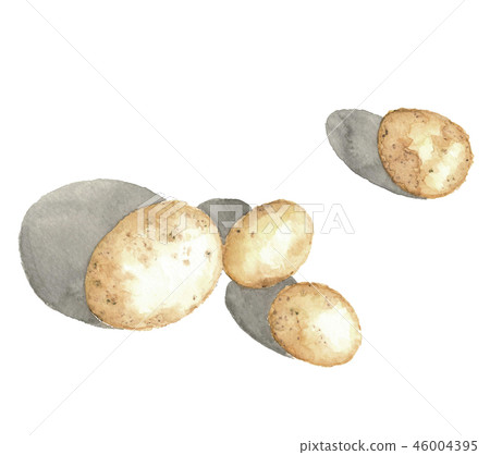 Potato potato potato shadow - Stock Illustration [46004395] - PIXTA