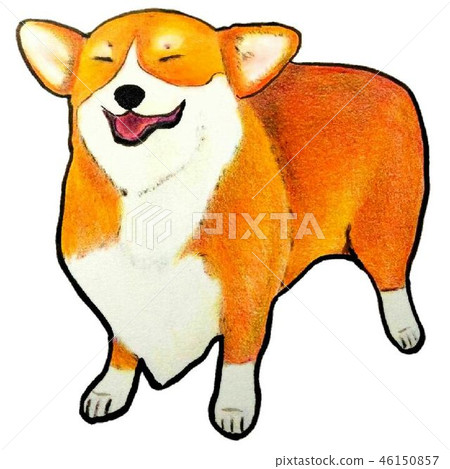 Smiley Corgi - Stock Illustration [46150857] - PIXTA