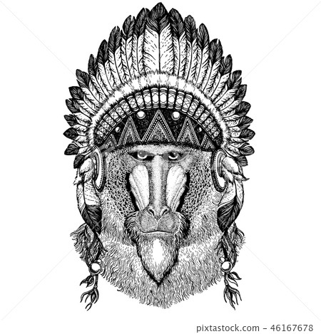 Money, baboon. Wild animal wearing inidan... - Stock Illustration ...