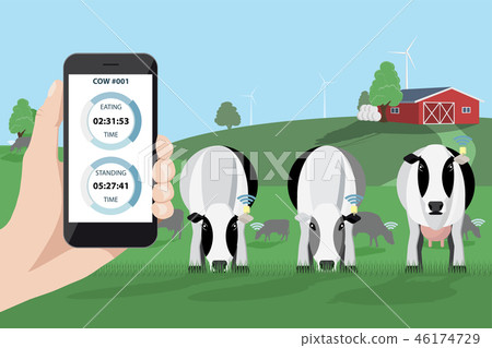 Control of a herd of cows on a dairy farm - Stock Illustration ...