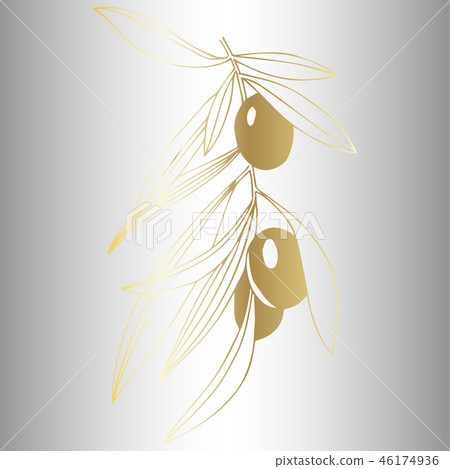 Vector Golden olive branch. Plant botanical... - Stock Illustration ...