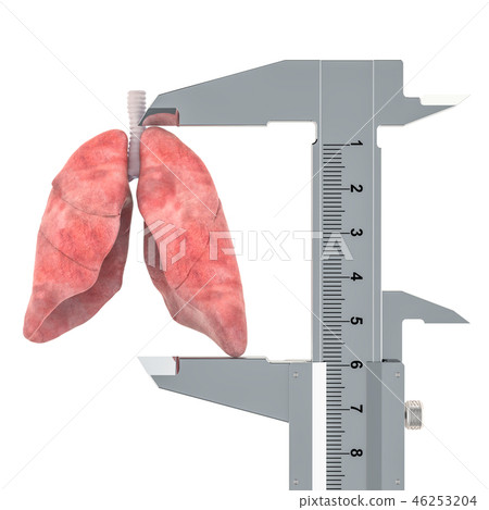 Human lungs with vernier caliper - Stock Illustration [46253204] - PIXTA