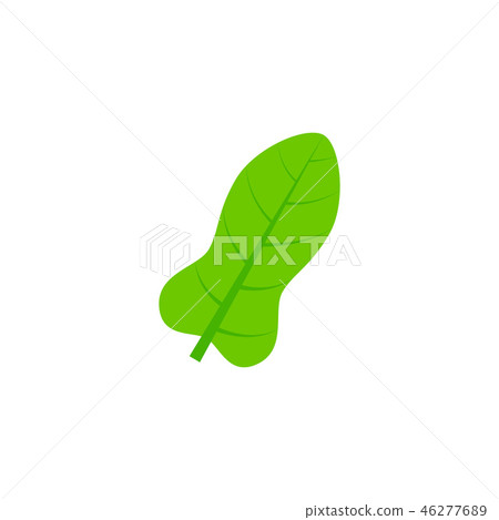 pandurate leaf flat icon - Stock Illustration [46277689] - PIXTA