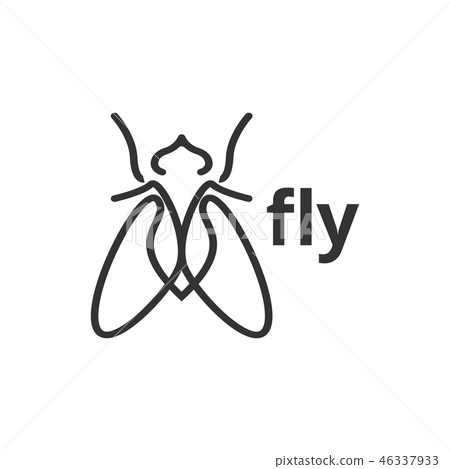 Fly insect outline graphic design template vector - Stock Illustration ...