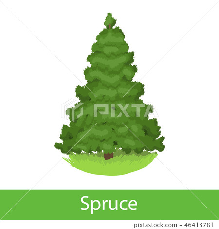 Spruce cartoon tree - Stock Illustration [46413781] - PIXTA