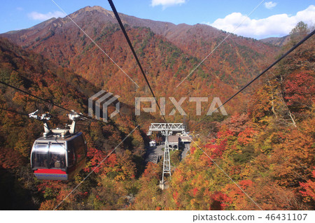 At Tanigawadake Ropeway of autumn leaves - Stock Photo [46431107] - PIXTA