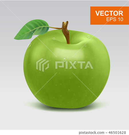 Realistic whole green apple vector clipart,... - Stock Illustration [46501628] - PIXTA