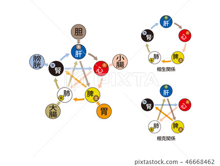 Detailed five-line diagram - Stock Illustration [46668462] - PIXTA