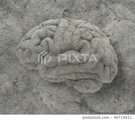 3D brain relief on stone illustration - Stock Illustration [46714811 ...