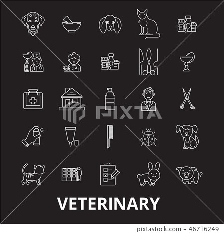 Veterinary editable line icons vector set on... - Stock Illustration ...