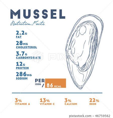 Nutrition facts of mussel, hand draw vector. - Stock Illustration ...
