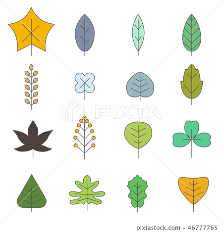 Leaf Shapes Vector