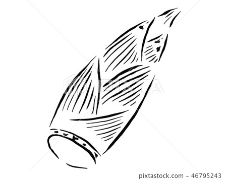 Bamboo shoot illustration line - Stock Illustration [46795243] - PIXTA