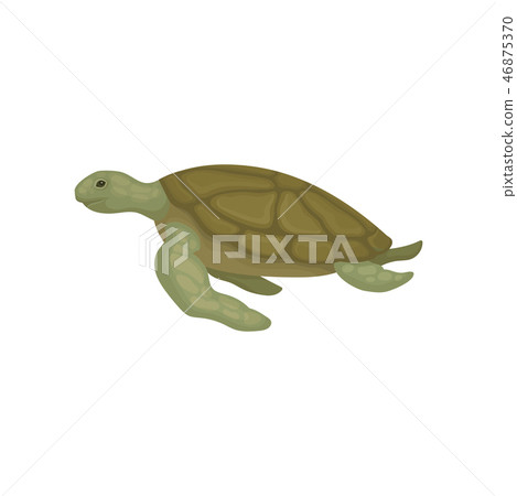 Turtle reptile animal side view vector... - Stock Illustration ...