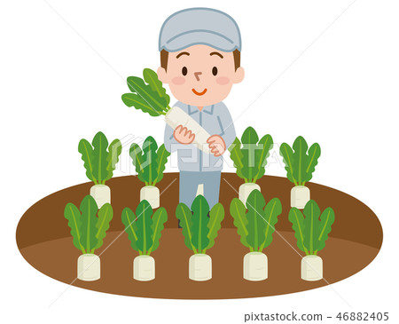 Farmer radish field - Stock Illustration [46882405] - PIXTA