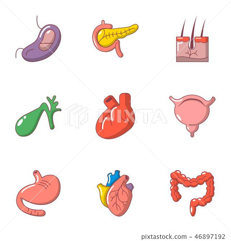 Human organism icons set, cartoon style - Stock Illustration [46897192 ...