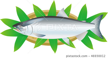Shirozake - Stock Illustration [46930012] - PIXTA