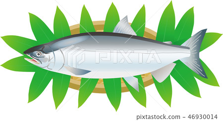 Shirozake - Stock Illustration [46930014] - PIXTA