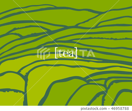 Vector tea plantation on cascades field. Tea title - Stock Illustration ...