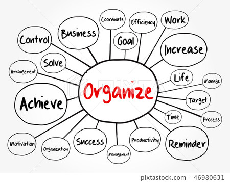 ORGANIZE mind map flowchart - Stock Illustration [46980631] - PIXTA