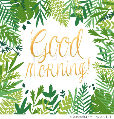 Good morning card with tropical motives - Stock Illustration [47002101 ...