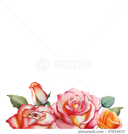 Rose flower cover background is _18 - Stock Illustration [47054455] - PIXTA