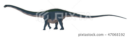 Dinosaurs: Supersaurus - Stock Illustration [47068192] - PIXTA