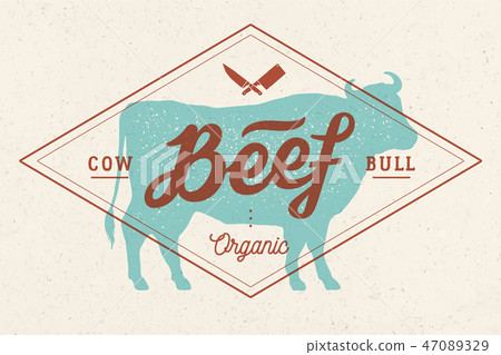 Cow, bull, beef. Vintage lettering, retro... - Stock Illustration ...