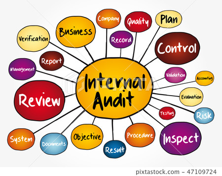 Internal Audit mind map flowchart - Stock Illustration [47109724] - PIXTA