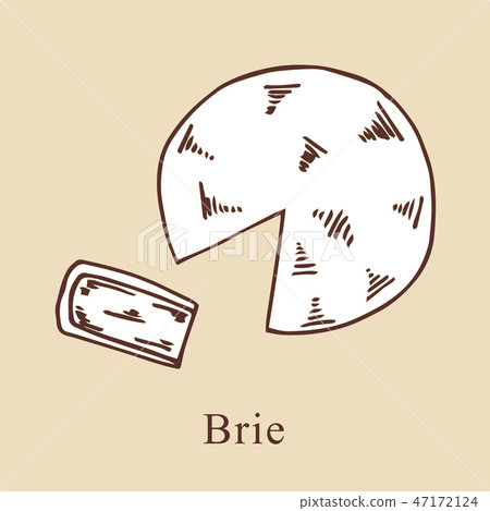 Brie vector illustration in cartoon style. - Stock Illustration ...