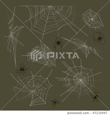 Collection of spiders and webs - Stock Illustration [47210447] - PIXTA