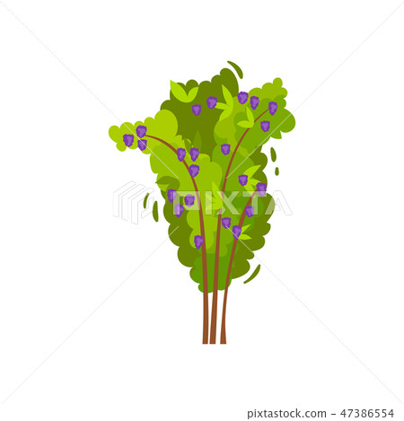 Flat vector icon of blackberry bush. Green... - Stock Illustration ...
