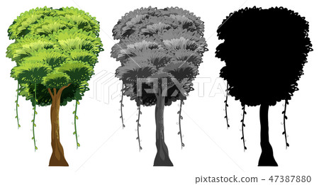Set of tree design - Stock Illustration [47387880] - PIXTA