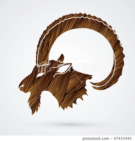 Ibex head with big horn graphic vector - Stock Illustration [47435445 ...