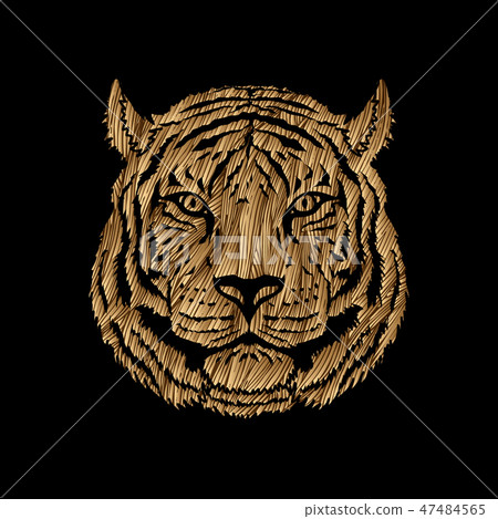 Tiger Head, Tiger Face front view graphic vector - Stock Illustration ...