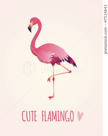 Cute flamingo. Tropical pink bird, girl card... - Stock Illustration ...