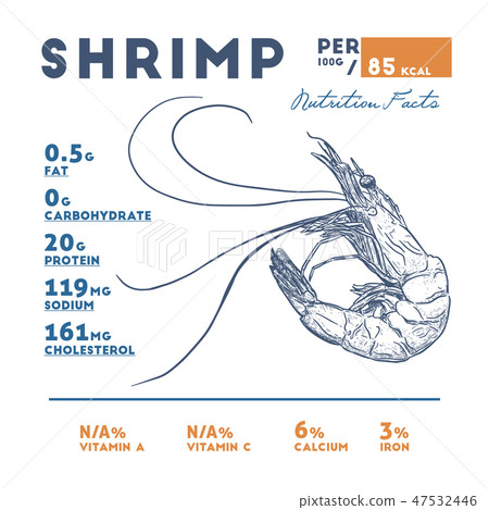 Nutrition facts of shrimp, hand draw vector. - Stock Illustration ...