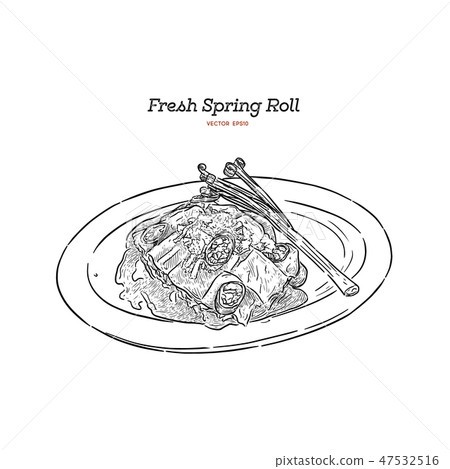 fresh spring rolls, hand draw sketch vector. - Stock Illustration ...