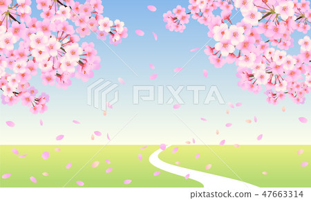 Sakura and prairie - Stock Illustration [47663314] - PIXTA
