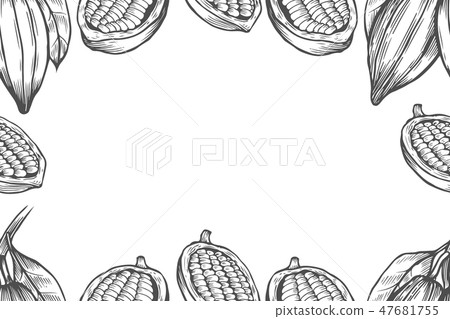Cocoa bean tree design template - Stock Illustration [47681755] - PIXTA